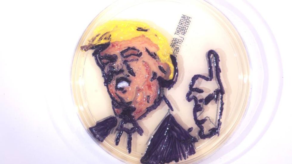 Artists Use Bacteria To ‘Grow’ Masterpieces - GOOD