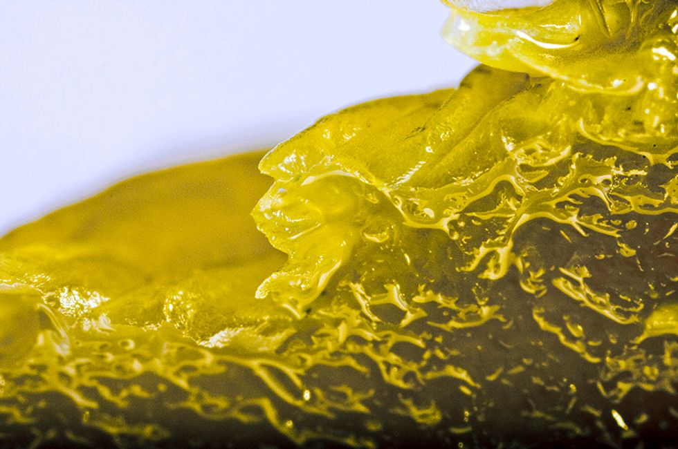 Feast Your Eyes: Taco Ingredients Under the Microscope - Good