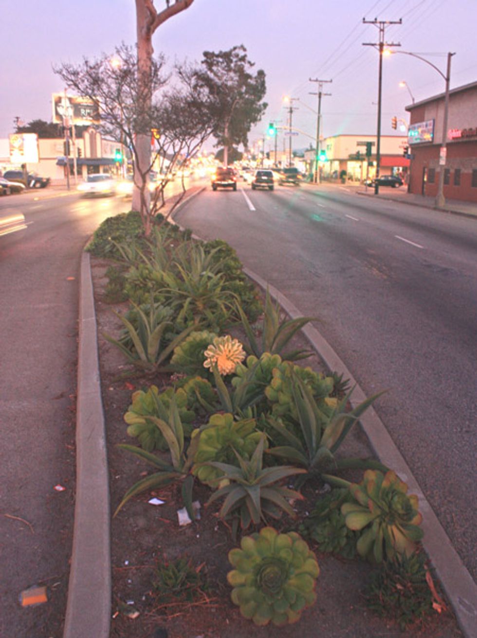 DIY Urban Design, from Guerrilla Gardening to Yarn Bombing - GOOD