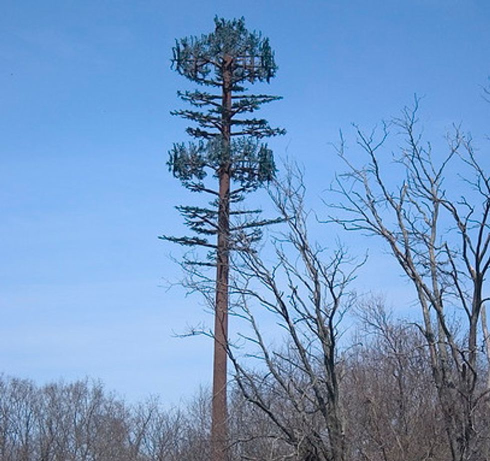 The Best, Worst, and Strangest Cell Phone Towers Disguised as Trees - GOOD