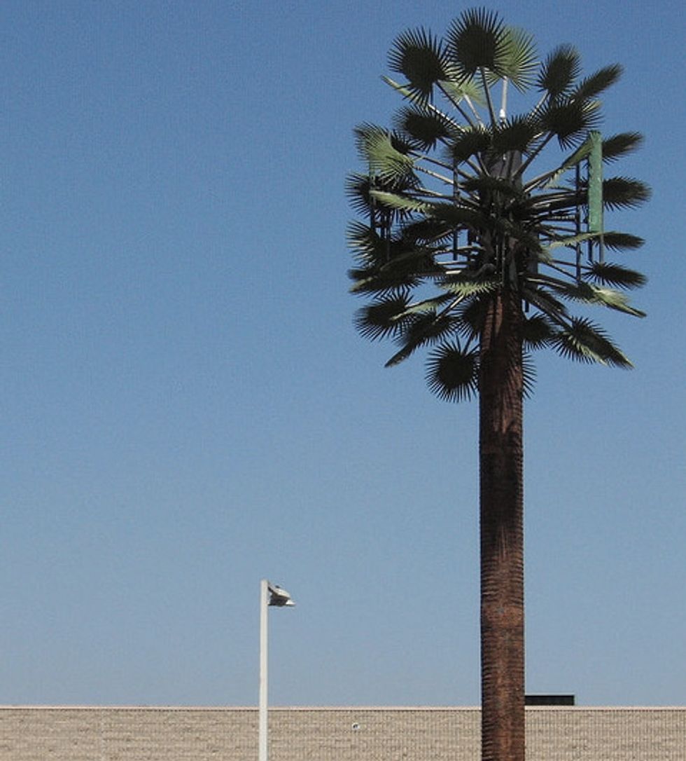 The Best, Worst, and Strangest Cell Phone Towers Disguised as Trees - GOOD