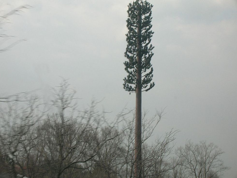 The Best, Worst, and Strangest Cell Phone Towers Disguised as Trees - GOOD