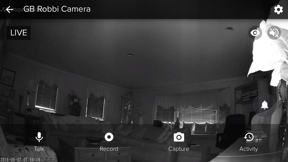 Momentum Robbi Wi-Fi Camera Review, a new smart DIY camera - Gearbrain