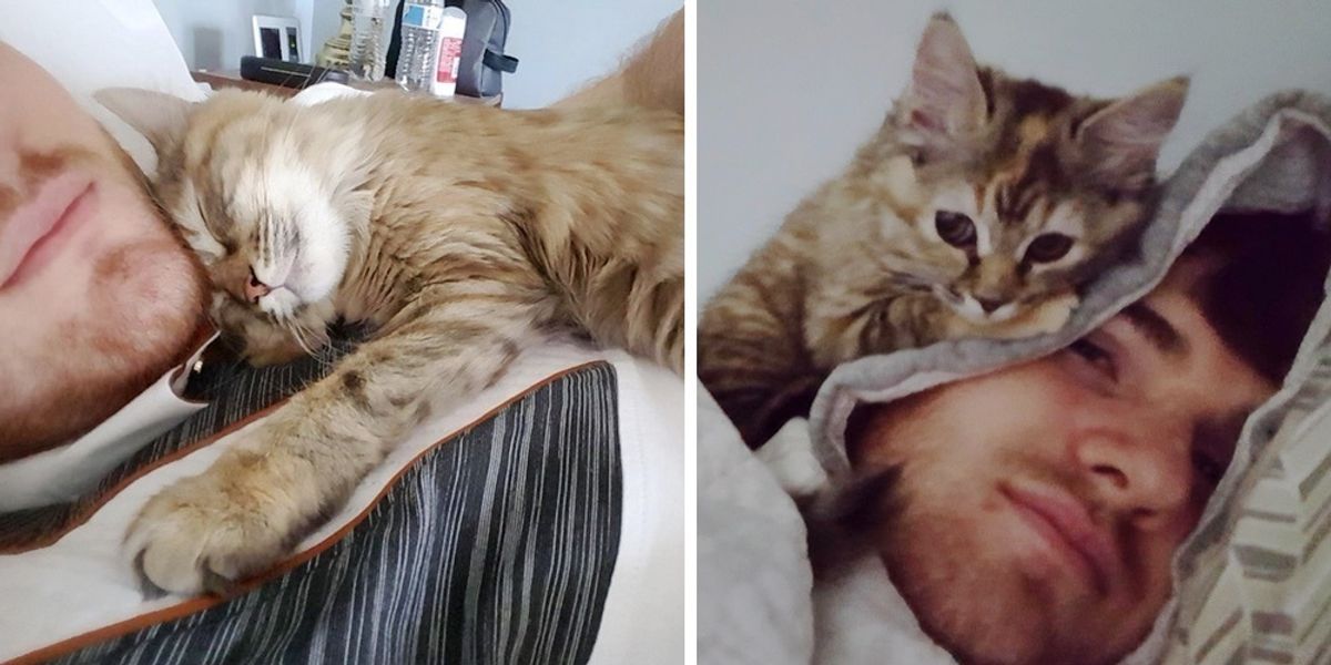 Man Gave Kitten a Home — Now He Wakes Up to a Kitty Cuddling Up to Him ...