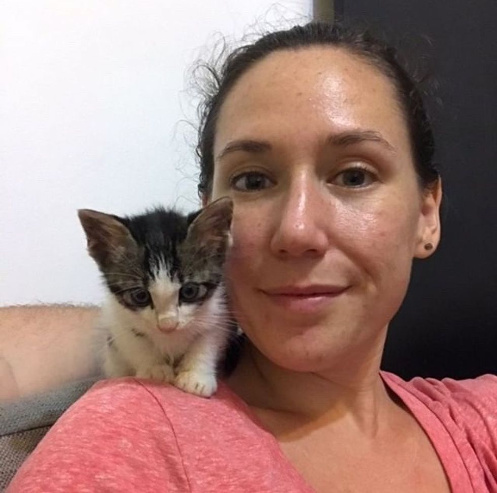 Woman Went to Walk Her Dogs but Came Home with a Kitten Who Needed Help ...