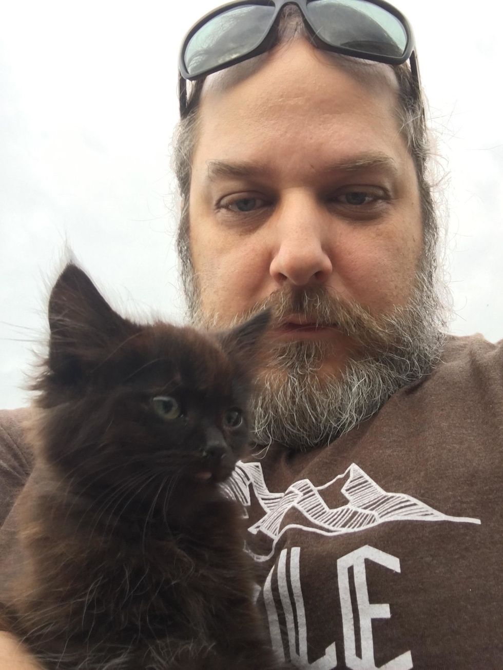Kitten Races to Geologist, Climbs Onto His Shoulders and Won't Let Go ...