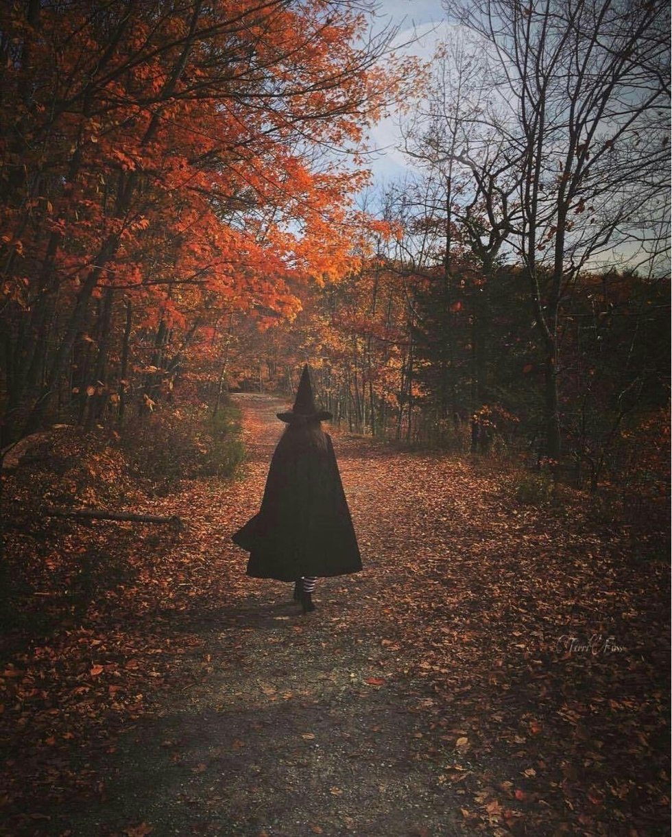Spooky Season Is Here Spooky Season Is Here