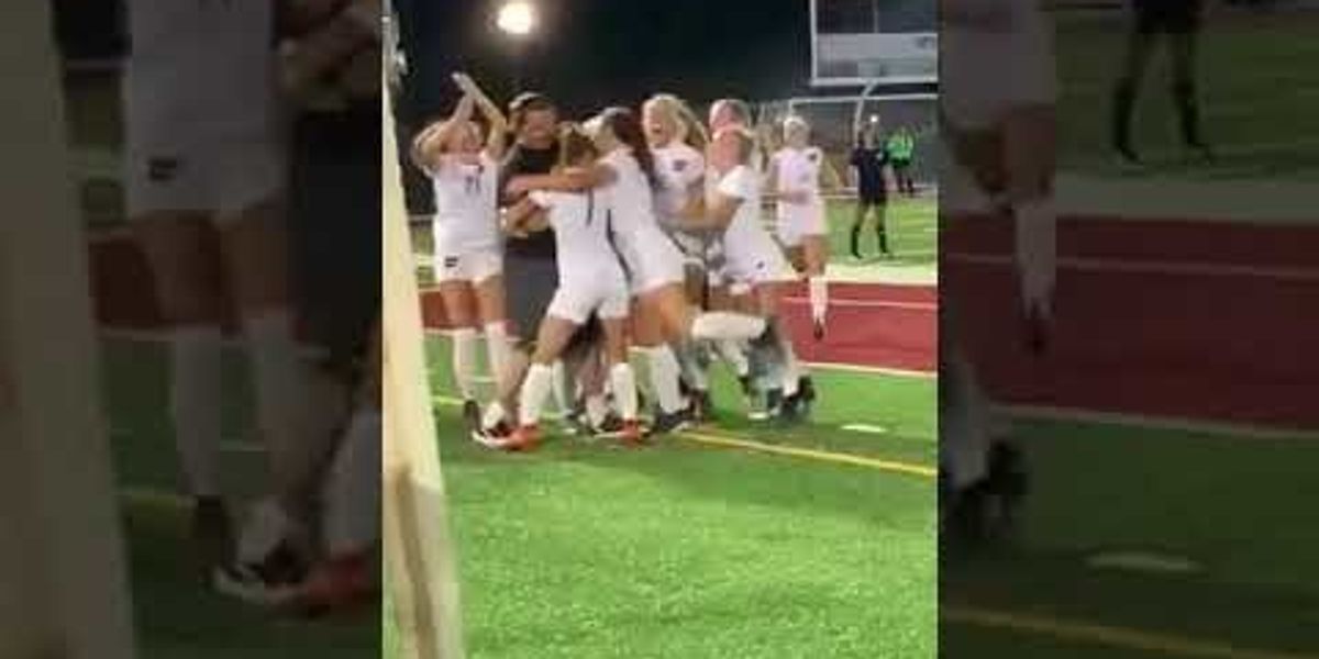 Soccer referee gives West Virginia coach a pink card during surprise ...