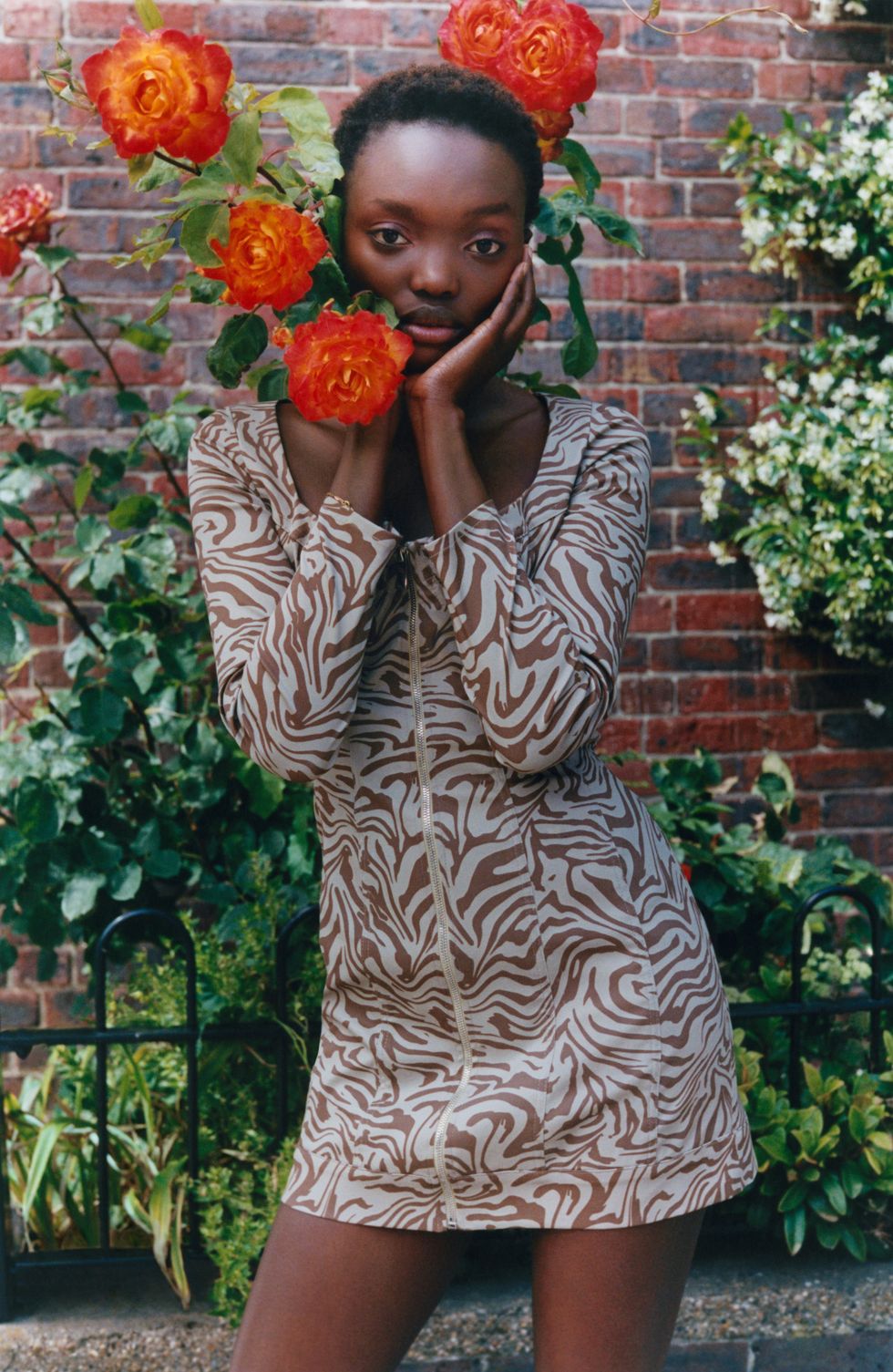 Miaou Pops Up on the Lower East Side - PAPER Magazine