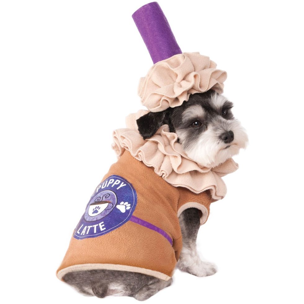 15 pet costumes perfect for Halloween - It's a Southern Thing