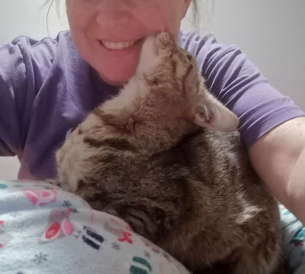 Rescuers Save Kittens from a Shed and Come Back for Cat Mom to Reunite ...