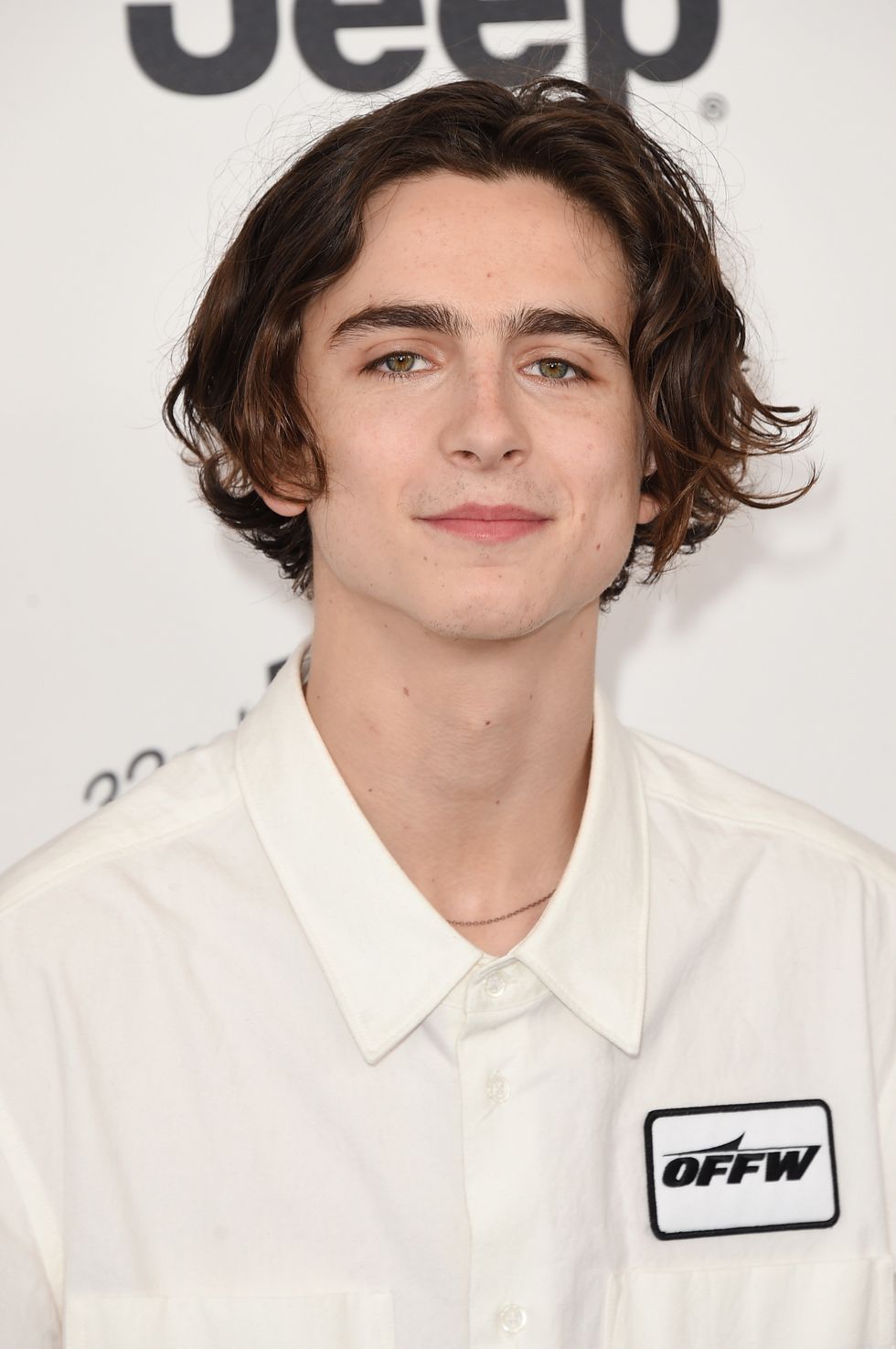 All the Times Timothée Chalamet Has Worn a Gold Chain - PAPER Magazine