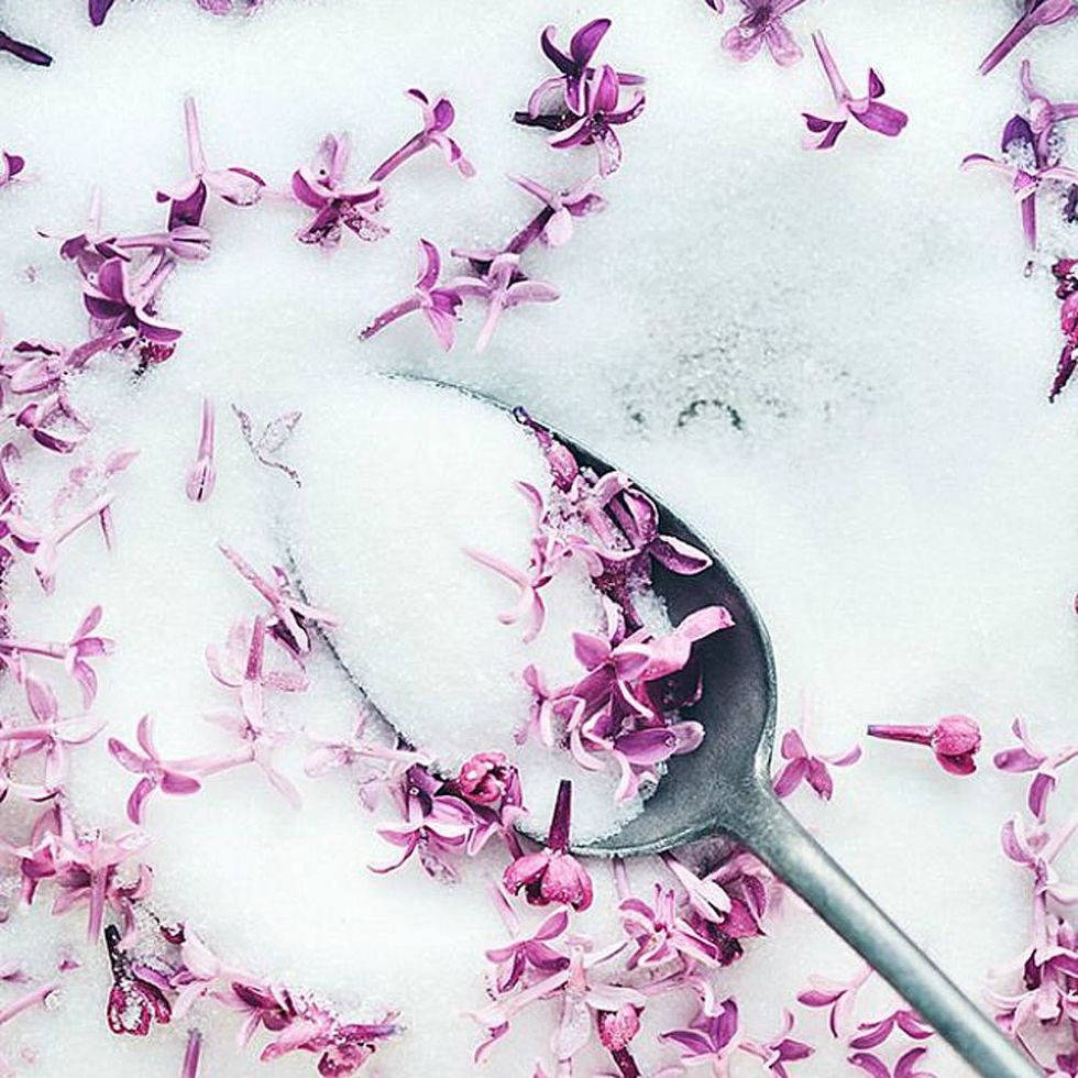 9 Reasons You Should Start Eating Lilacs… Yes, Lilacs - Brit + Co