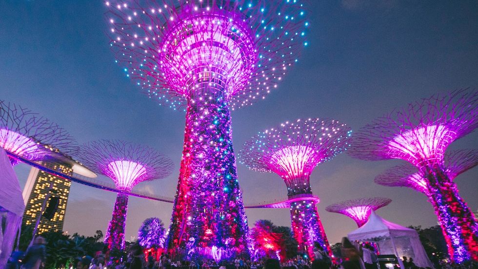 Magnificent solar-powered 'supertrees' are the highlight of Singapore's ...