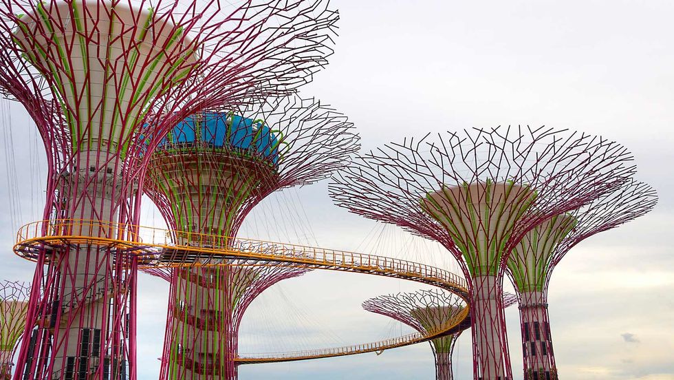 Magnificent solar-powered 'supertrees' are the highlight of Singapore's ...