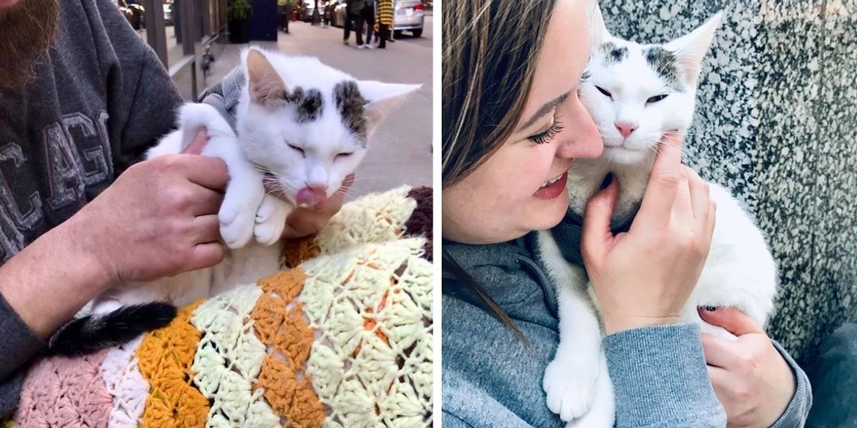 Woman Befriends Homeless Man and Kitten He Rescued from Uncertain Fate ...