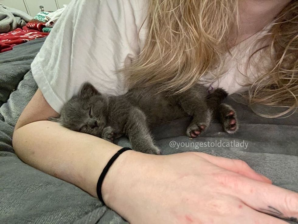 Kitten Cuddles Rescuer and Won't Let Go After She Was Found Alone on ...