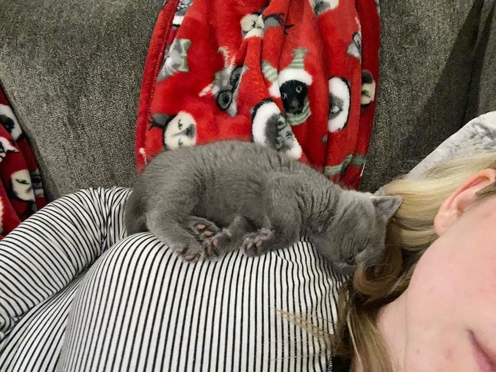 Kitten Cuddles Rescuer and Won't Let Go After She Was Found Alone on ...