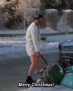 9 Reasons 'National Lampoon's Christmas Vacation' Is THE Best Christmas ...