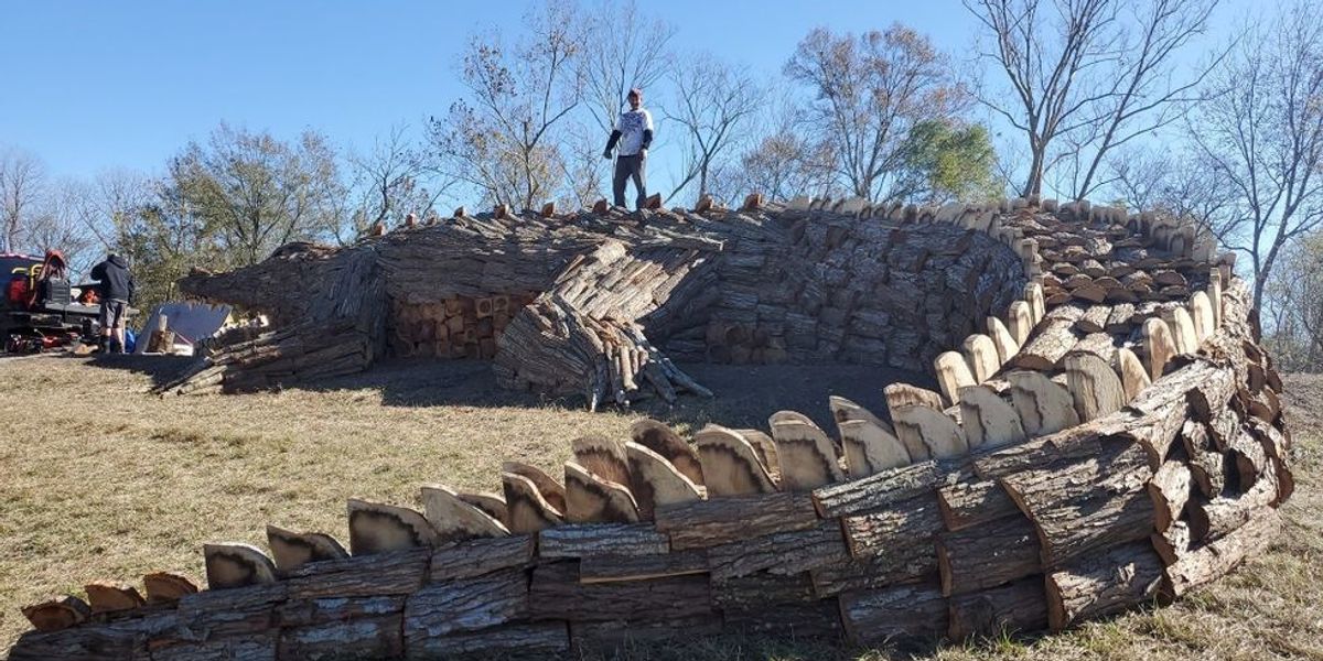 Watch 60-foot alligator bonfire in Louisiana go up in flames - It's a ...