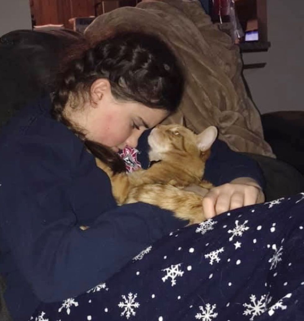Couple Went to Concert But Came Home with a Cat Cuddling in Their Arms ...