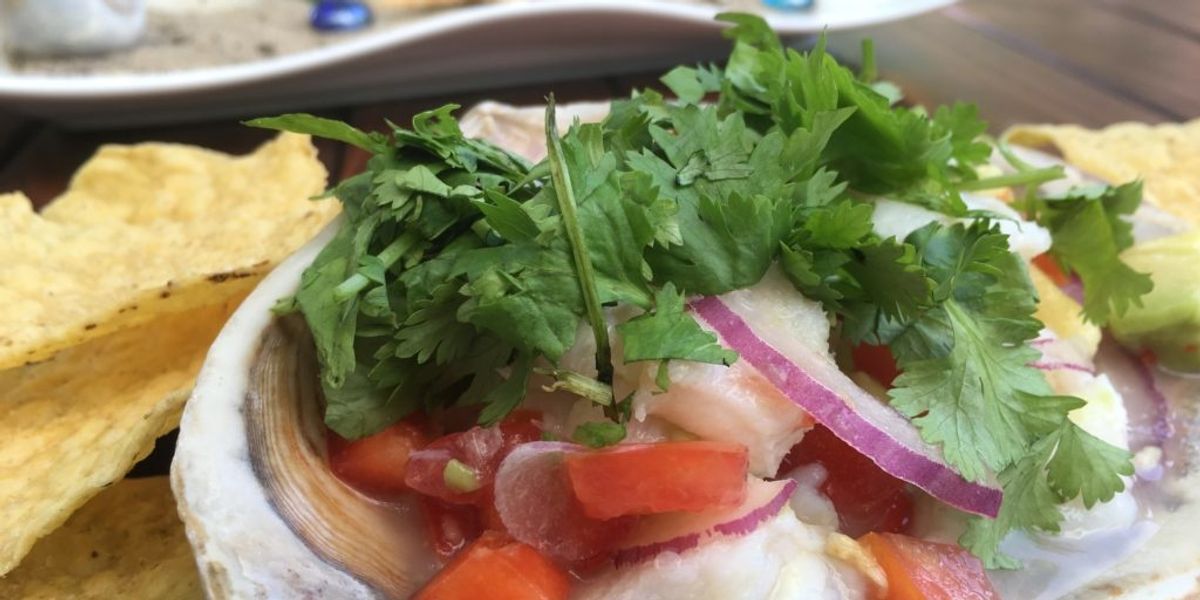 Ceviche – A Fancy, Expensive Seafood Dish Made Easy at Home? - My ...