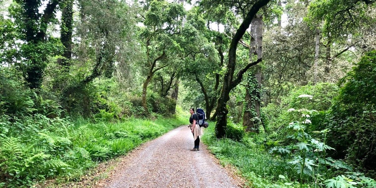 Backpacking for Beginners: Sky Campground in Point Reyes National ...