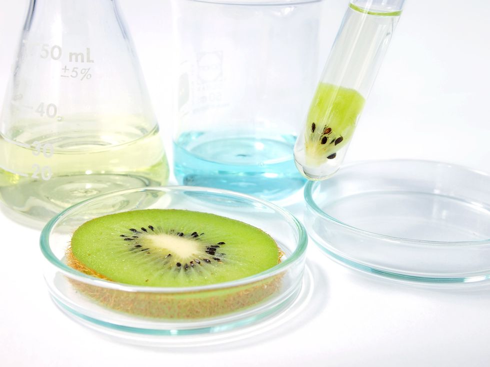 All-Natural Ways To Get Flawless Skin - xoNecole