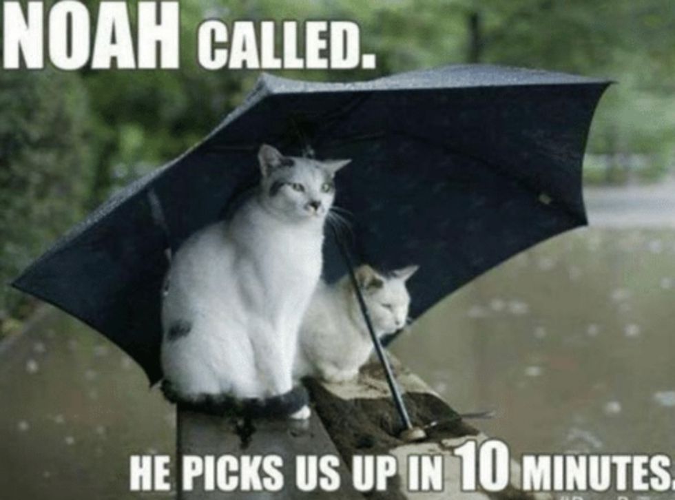 Weather Memes That Perfectly Describe The South