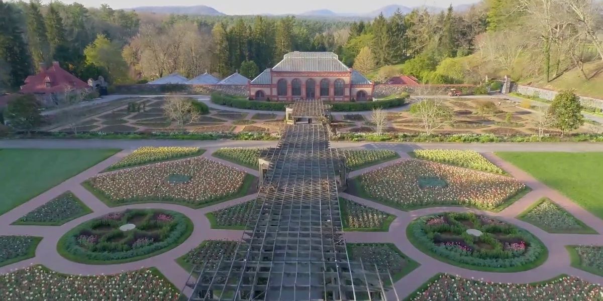 Biltmore Estate is sharing weekly 'bloom reports' so you won't miss out ...
