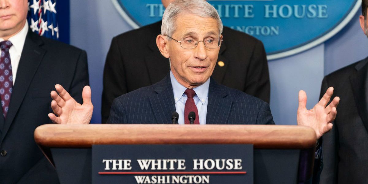 New Anthony Fauci interview shows he's a unifying hero bringing ...