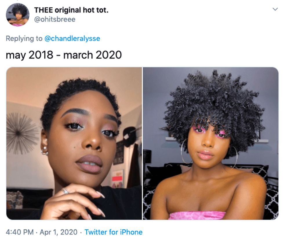 Black Women Big Chop Hair Growth - xoNecole