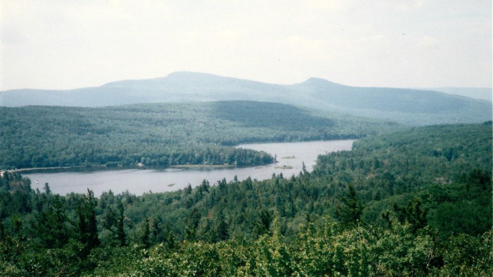 Netflix’s “Crip Camp” and Lessons From Jened