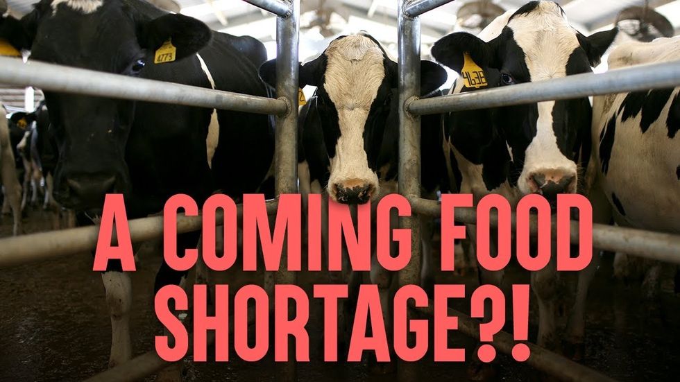 FOOD SHORTAGES ON THE WAY: Meat processing workers sick with ...