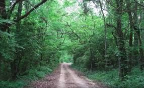 Odds And Evils Part One: Jack Cole Road