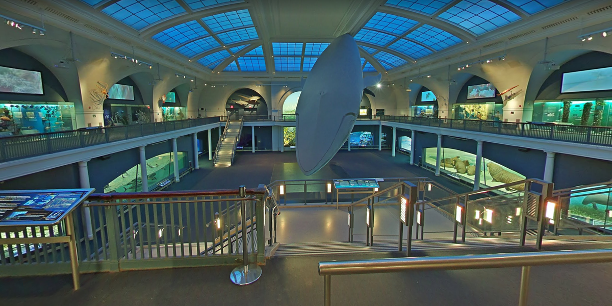 10 museums and art galleries you can tour online virtually - Gearbrain