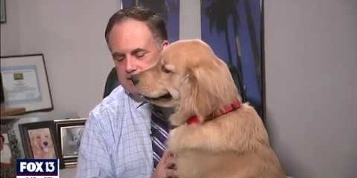 Watch Florida meteorologist's dog interrupt forecast in the most ...