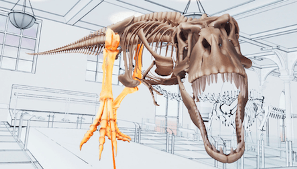 7 Best VR Field Trips for Students, Teachers and Parents - Gearbrain