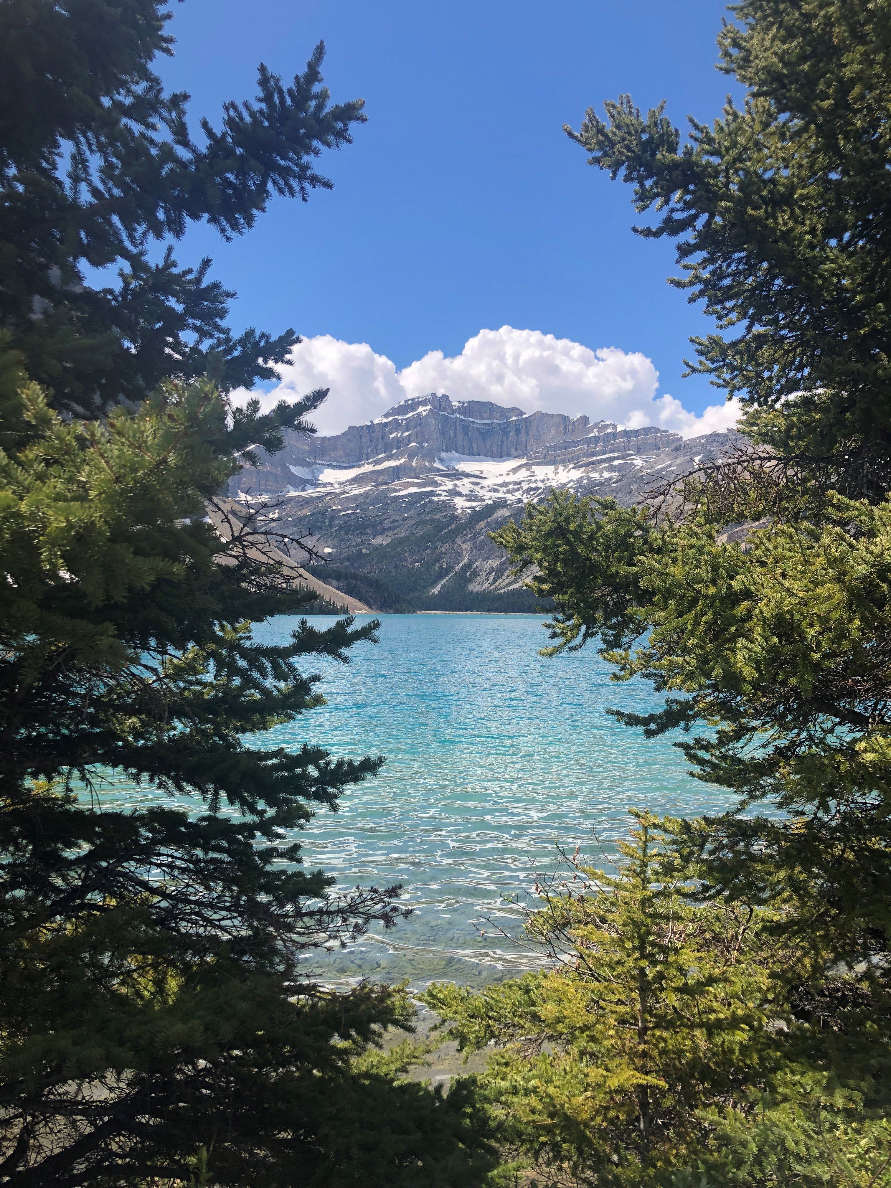 The Importance of National Parks