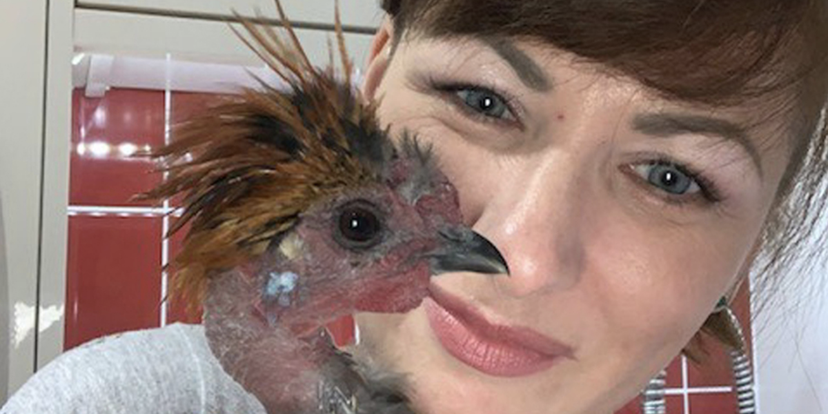 Savvy Mom Dubbed The 'Crazy Chicken Lady' Uses Money Earned From Online ...
