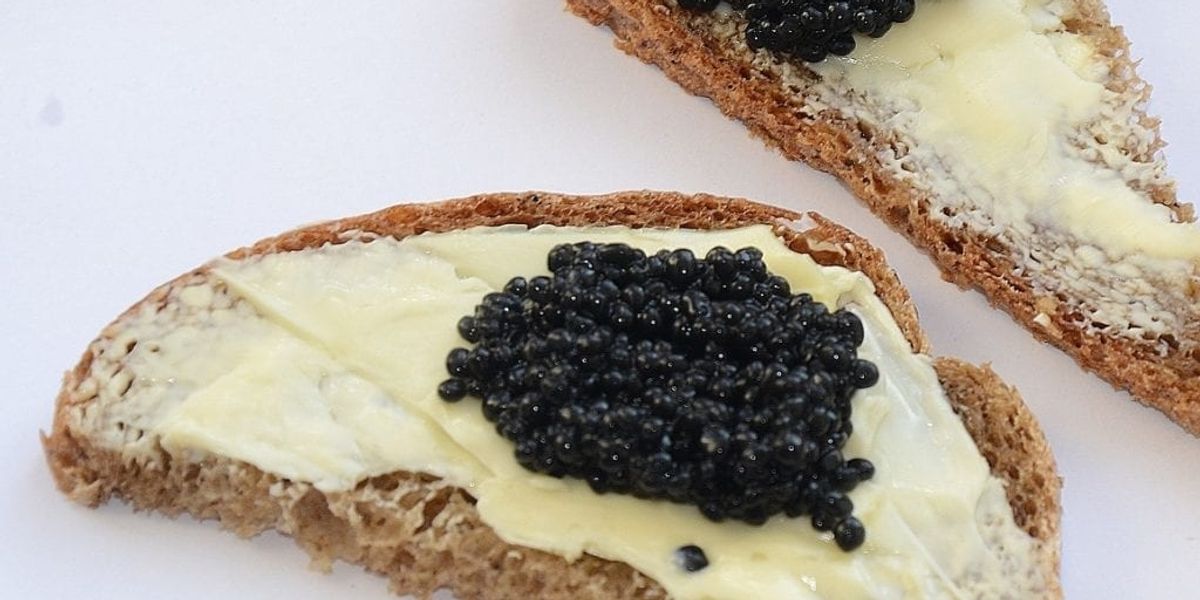 toast point - My Recipe Magic