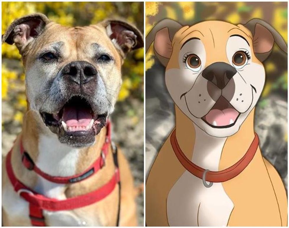 Brilliant artist 'Disneyfies' people's pets into Disney characters ...