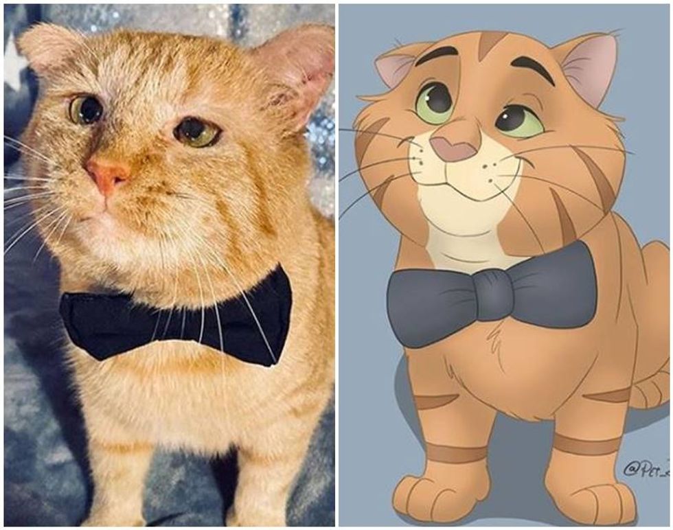 Brilliant artist 'Disneyfies' people's pets into Disney characters ...