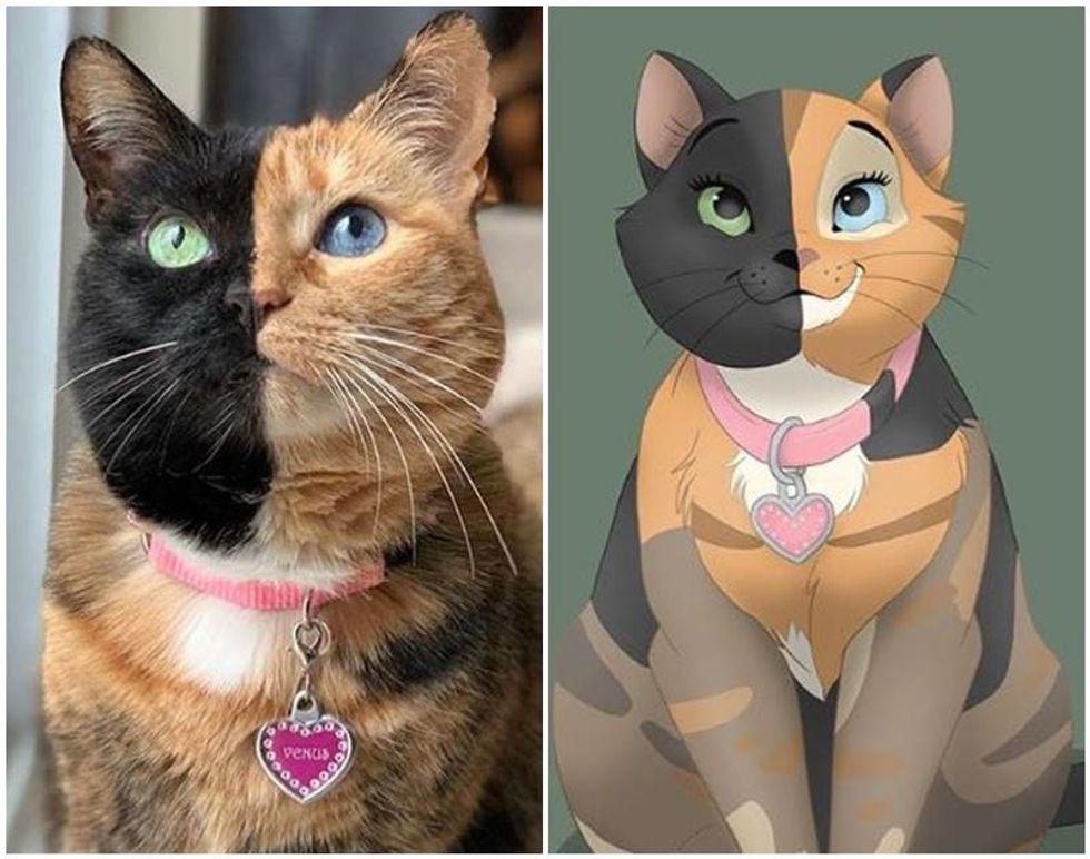 Brilliant artist 'Disneyfies' people's pets into Disney characters ...