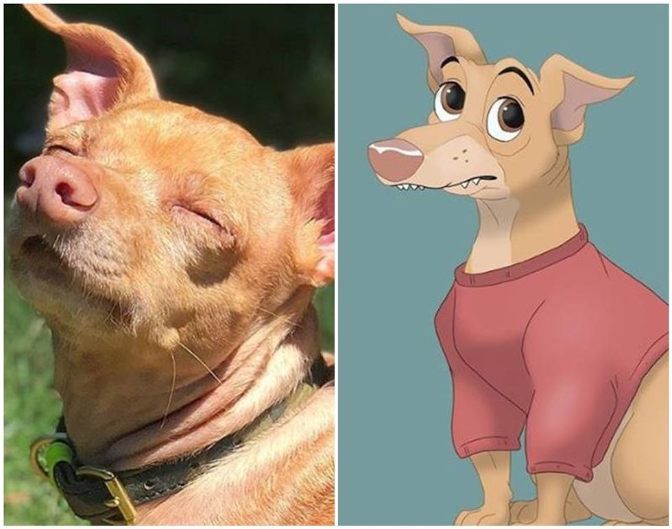 Brilliant artist 'Disneyfies' people's pets into Disney characters ...