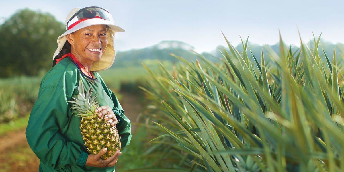 How your food is made matters. Here’s why. - Upworthy
