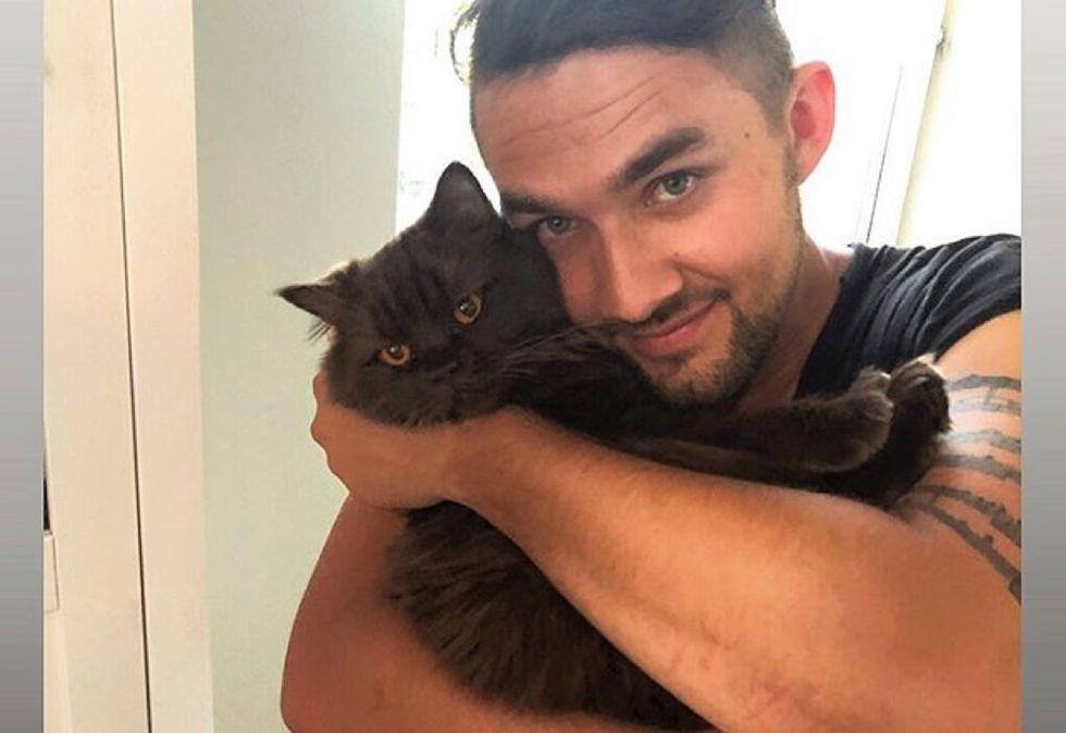 Teddy Bear Kitten Found Dream Home And Blossomed Into Happy Cat Love Meow