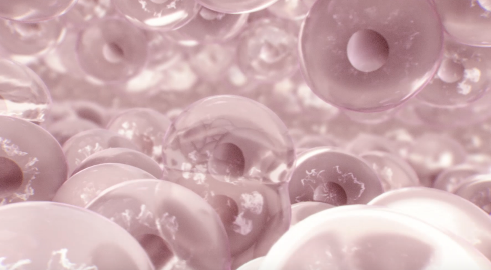 Dior's Mother Cell Is Here — It Was Worth The 20 Year Wait