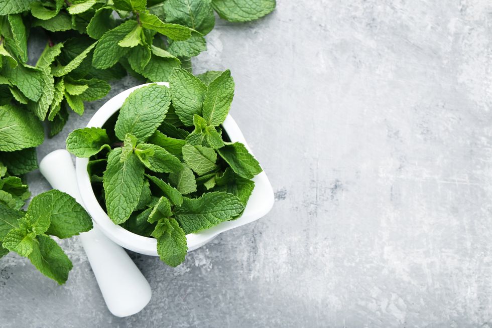 10 Foods That Will Keep You Cool During The Heat - xoNecole: Lifestyle ...