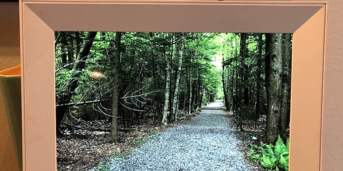 Best Offers on Amazon Prime Big Deal Day for Digital Frames - Gearbrain